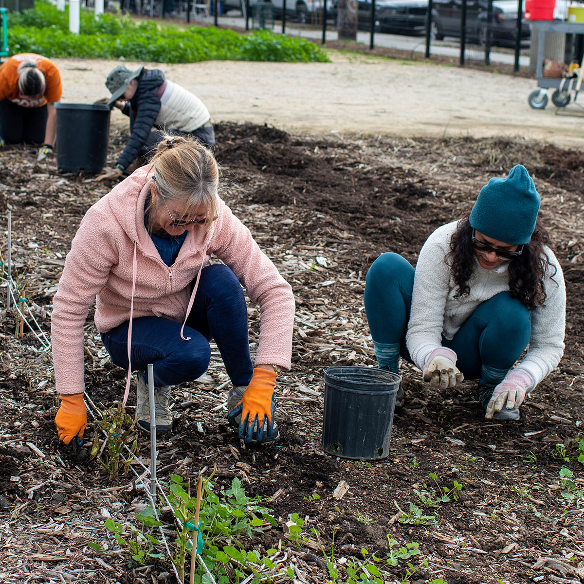 Climate Resilience - CORE