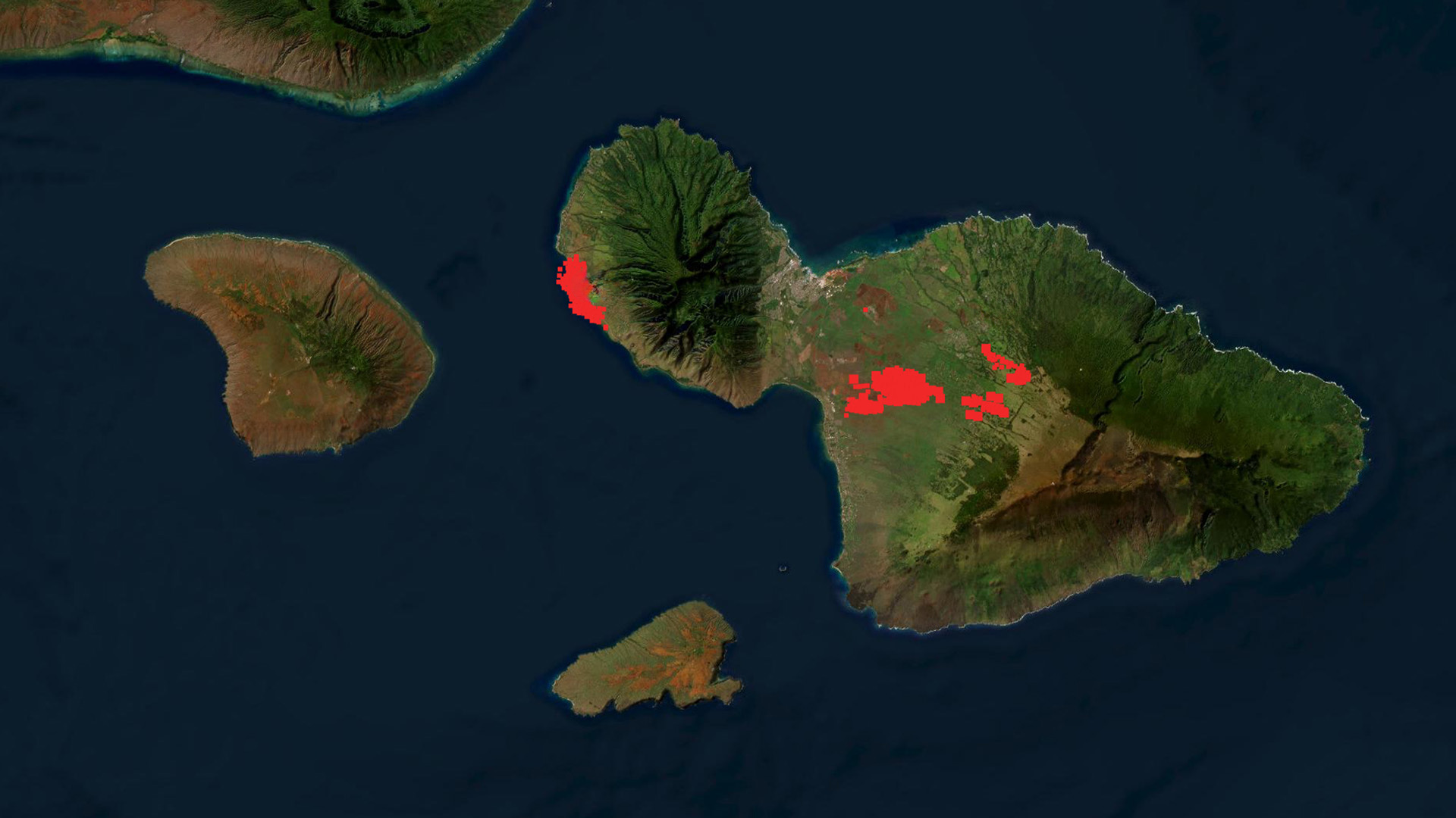 Help Maui Wildfires Relief with CORE